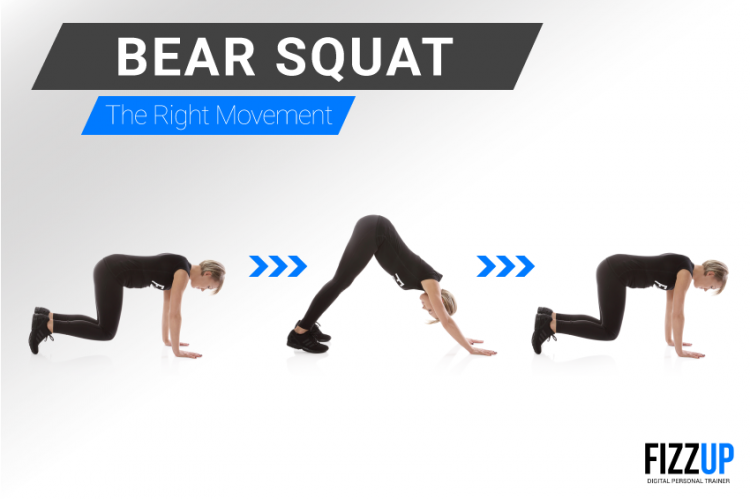 The Bear Squat: A Full-Body Strength Training Exercise | FizzUp