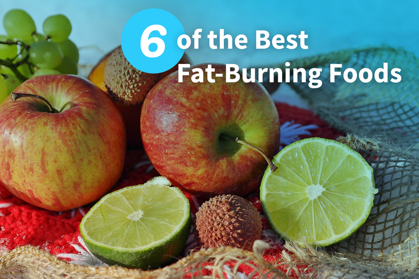 6 of the Best Fat-Burning Foods | FizzUp
