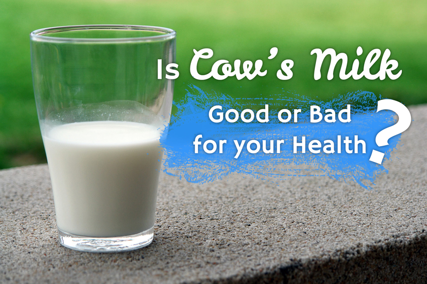 Is Cow’s Milk Good or Bad for Your Health? | FizzUp