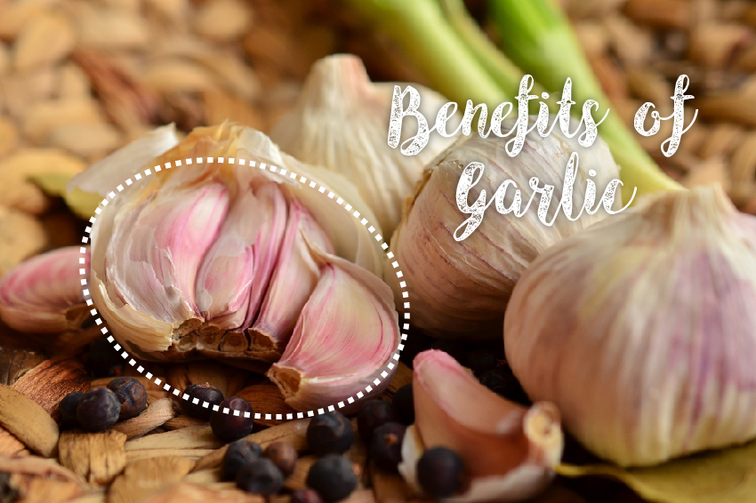 The Benefits of Garlic | FizzUp