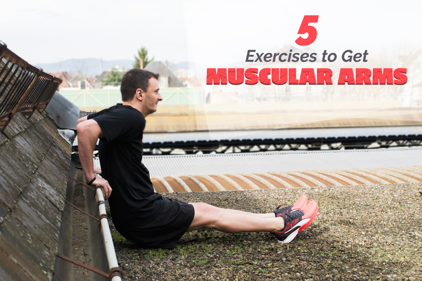 5 Exercises to Get Muscular Arms | FizzUp