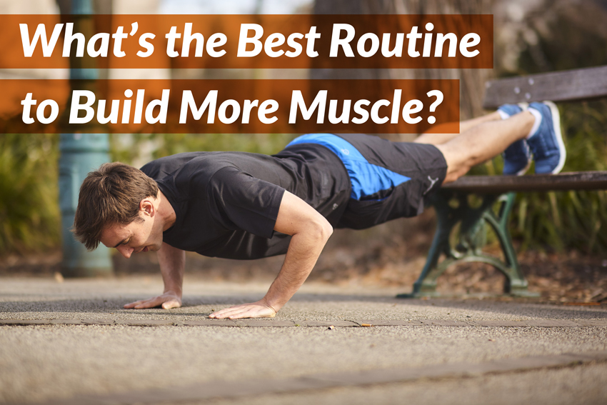 What's the Best Routine to Build More Muscle for Summer? | FizzUp