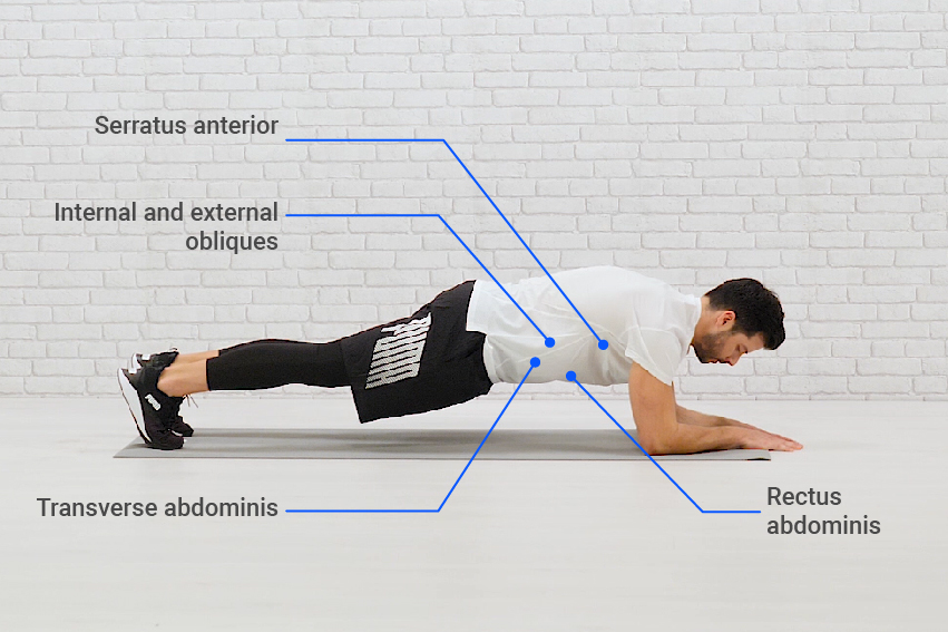 Mistakes to Avoid for the Perfect Plank | FizzUp