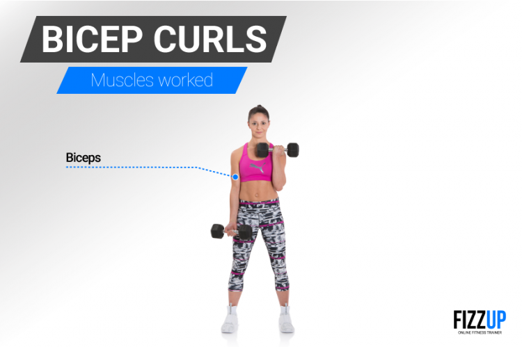 Get Sculpted Arms with Bicep Curls | FizzUp