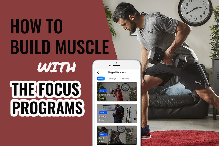 How to Effectively Build Muscle with the Focus Programs | FizzUp